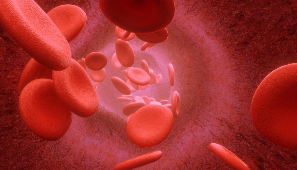 Endothelial Cells Identified for Potential Blood Vessel Repair - eMedNews