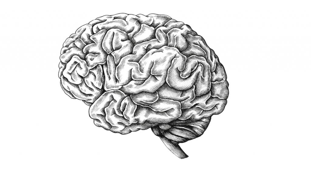 Personalized Brain Connectivity in Blind Individuals - eMedNews