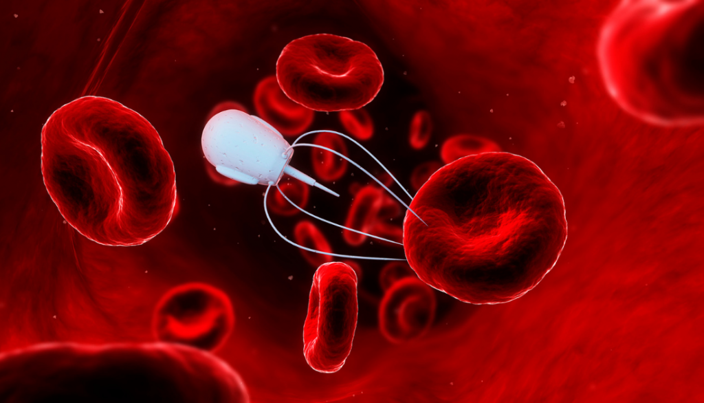 Magnetic Nanorobots Enhance Tumor Drug Delivery - eMedNews