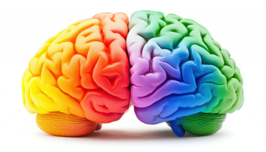 Spatial Computing Explains How Brain Organizes Cognition - eMedNews